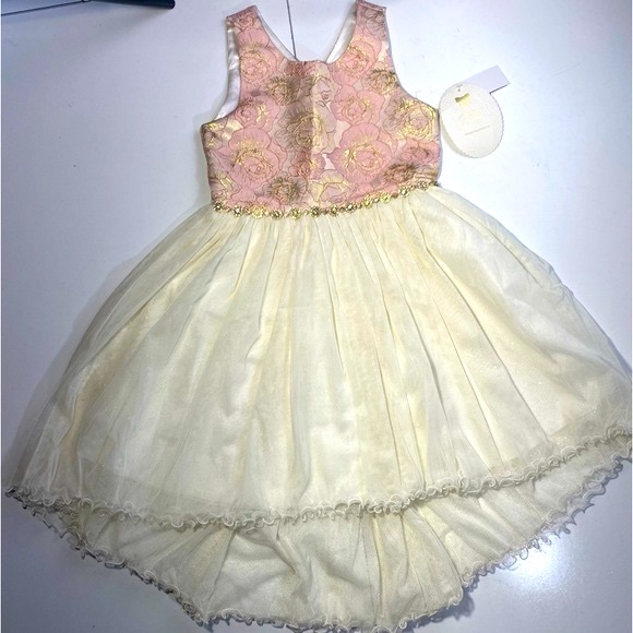 American Princess | Dresses | American Princess Girls Pink Metallic ...